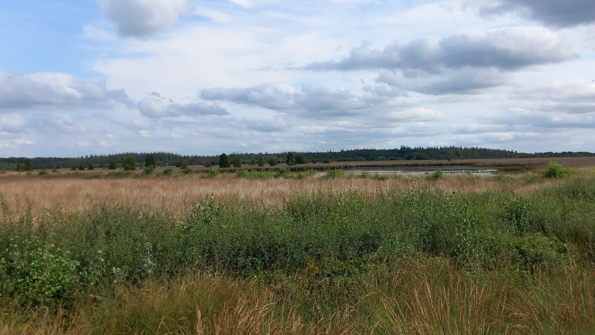 Concept Fries Programma Landelijk Gebied - ChristenUnie Fryslân